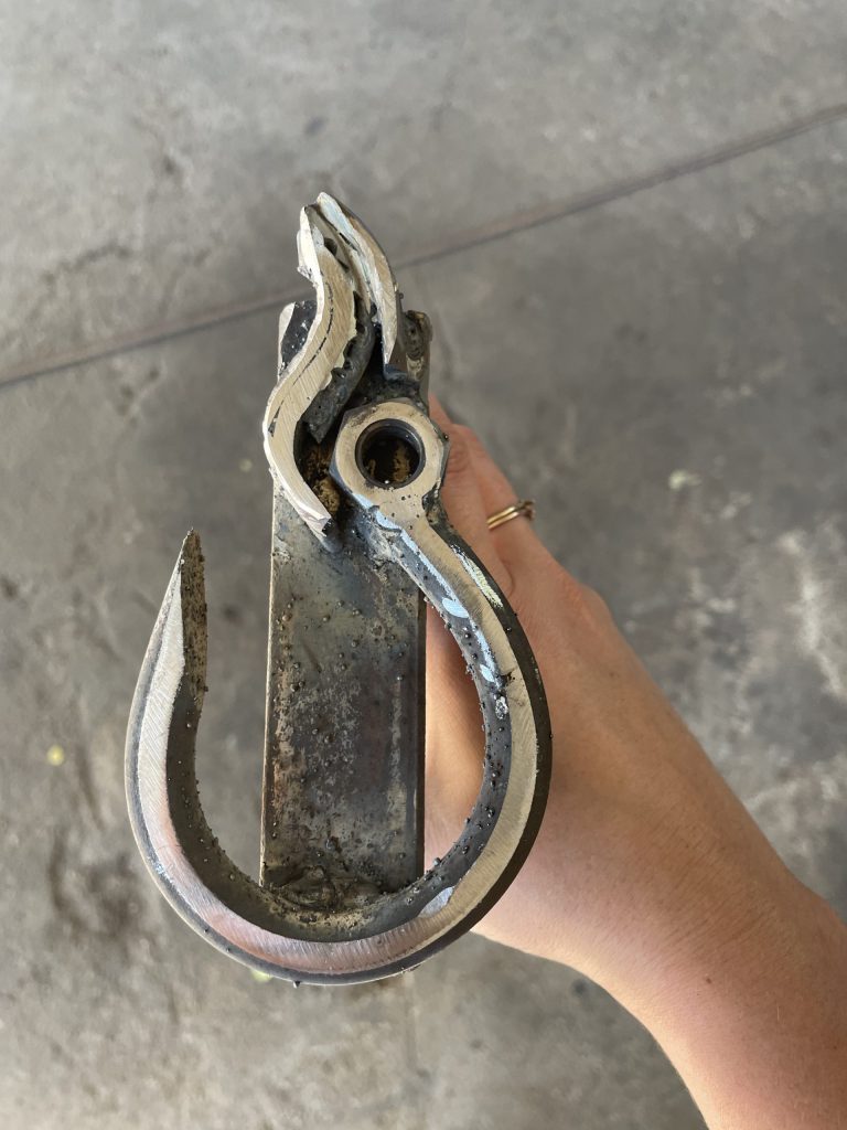 The Bee Project – Firehook Foundation